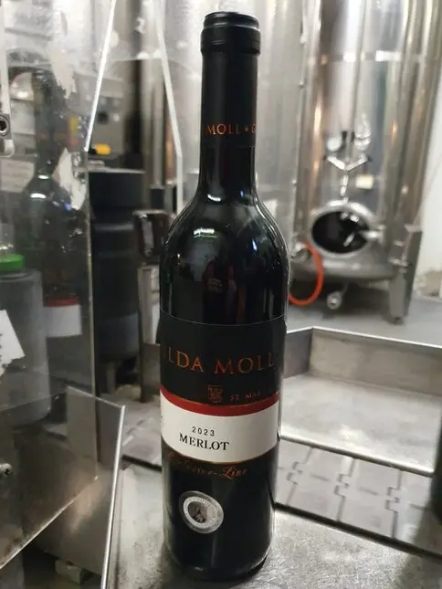 Weingut Gilda Moll - exclusive Ferienwohnungen - beliebte ...